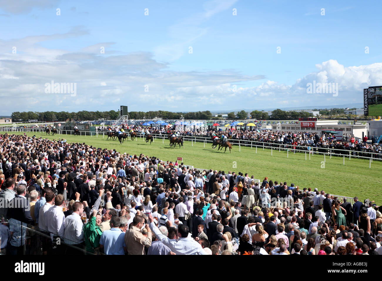 Horse on racetrack hi-res stock photography and images - Alamy