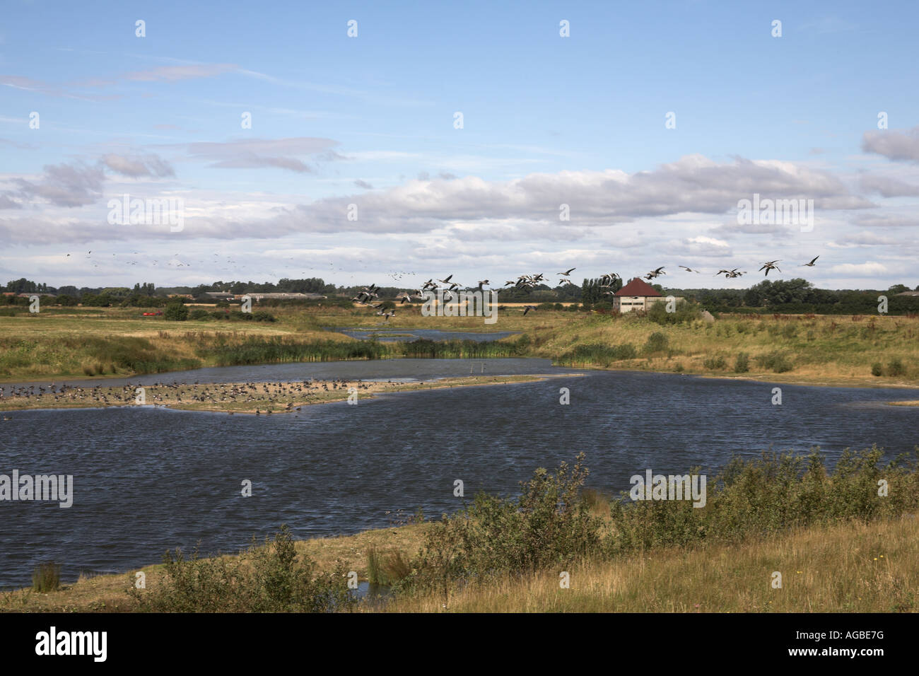 View across lagoons @ the Yorkshire Wildlife Trust's North Cave Nature ...