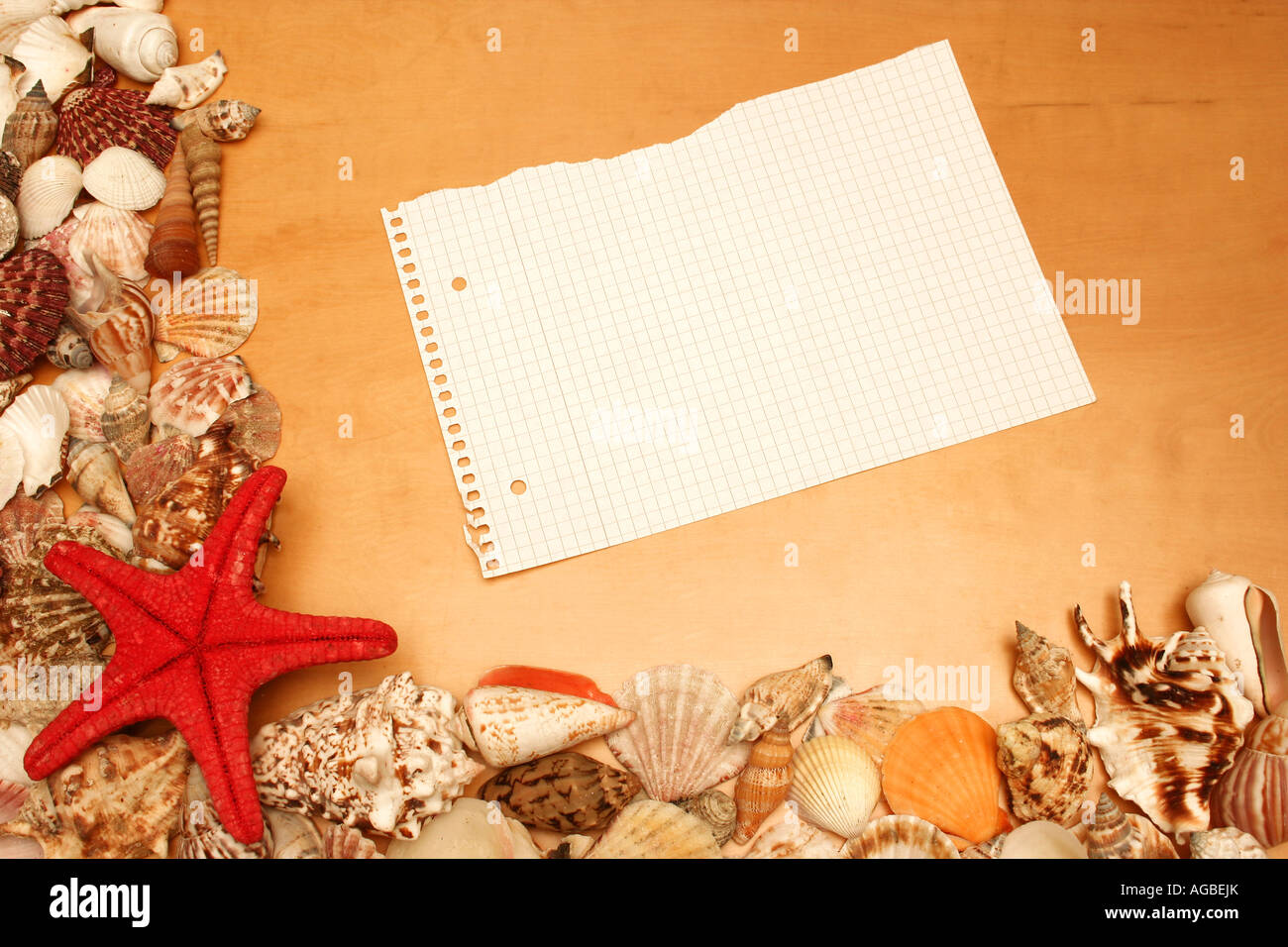 Diverse collection of snail shells hi-res stock photography and images ...