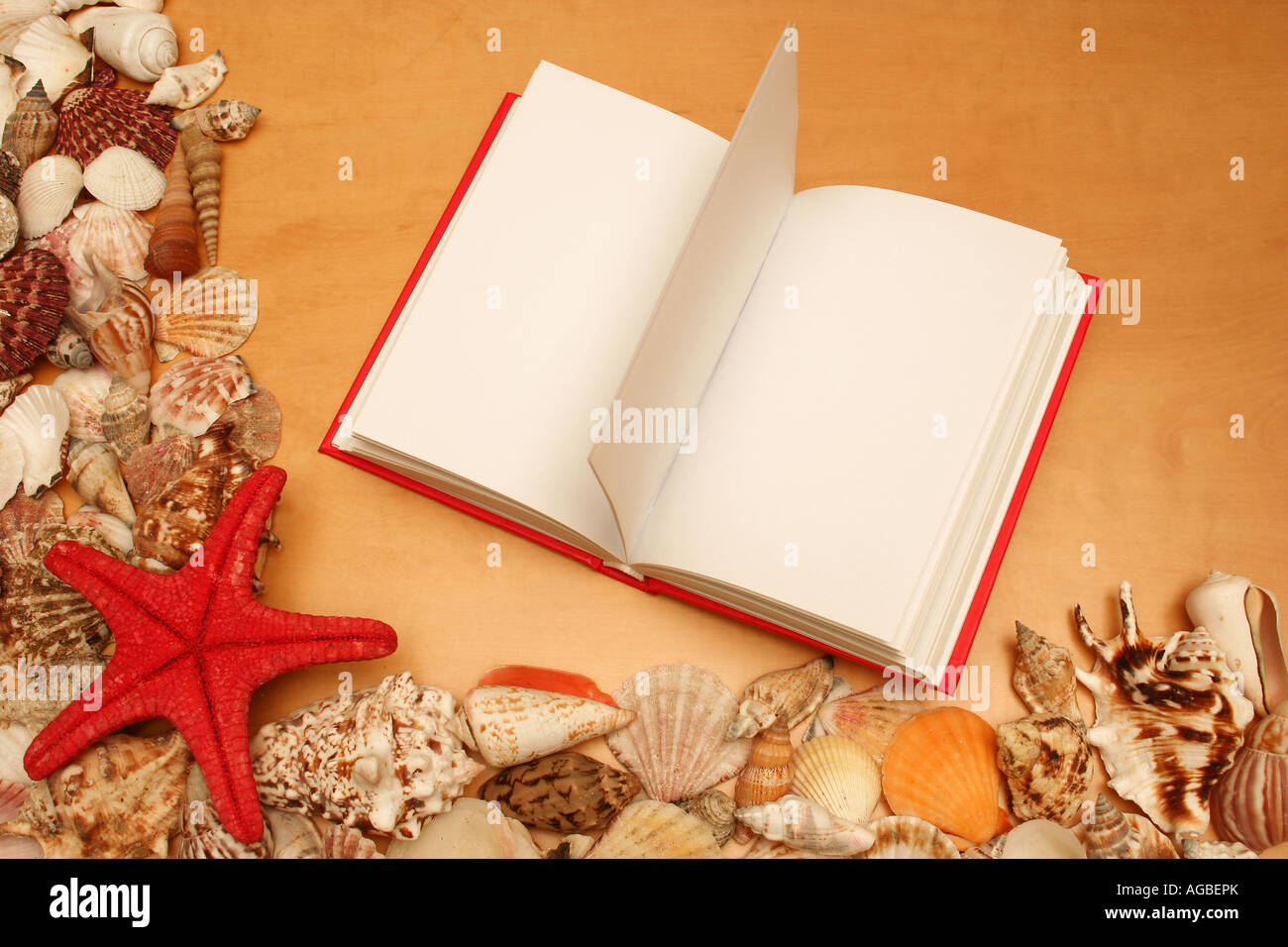 The book of shells hi-res stock photography and images - Alamy