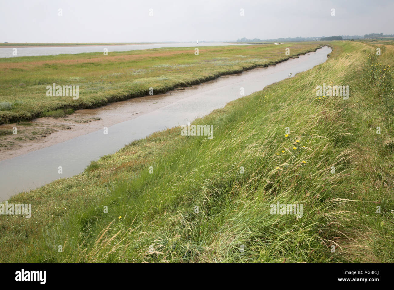 Drainage ditch and flood defence bank dyke hi-res stock photography and ...