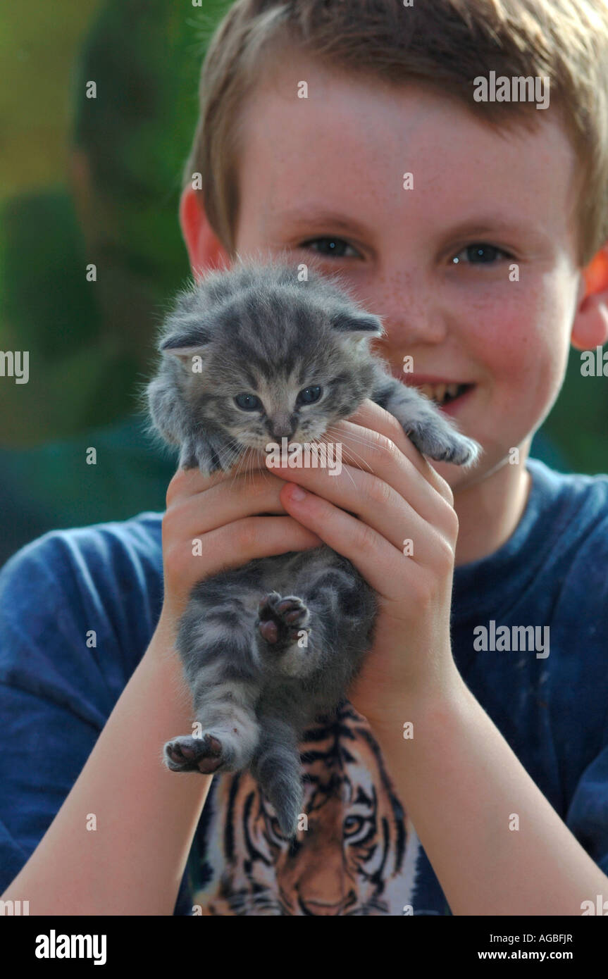 A Boy Holding A Kitten Stock Photo - Alamy