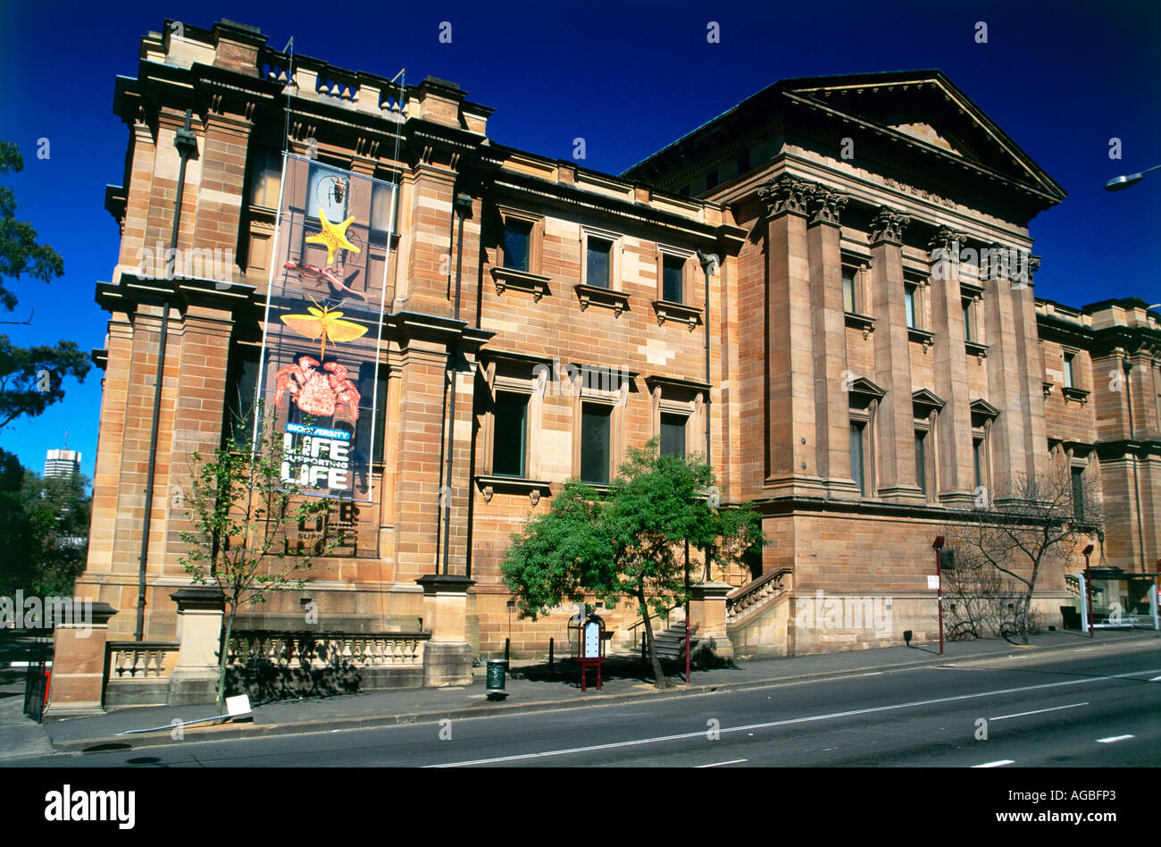 The facade of the Australian Museum in Sydney Stock Photo - Alamy