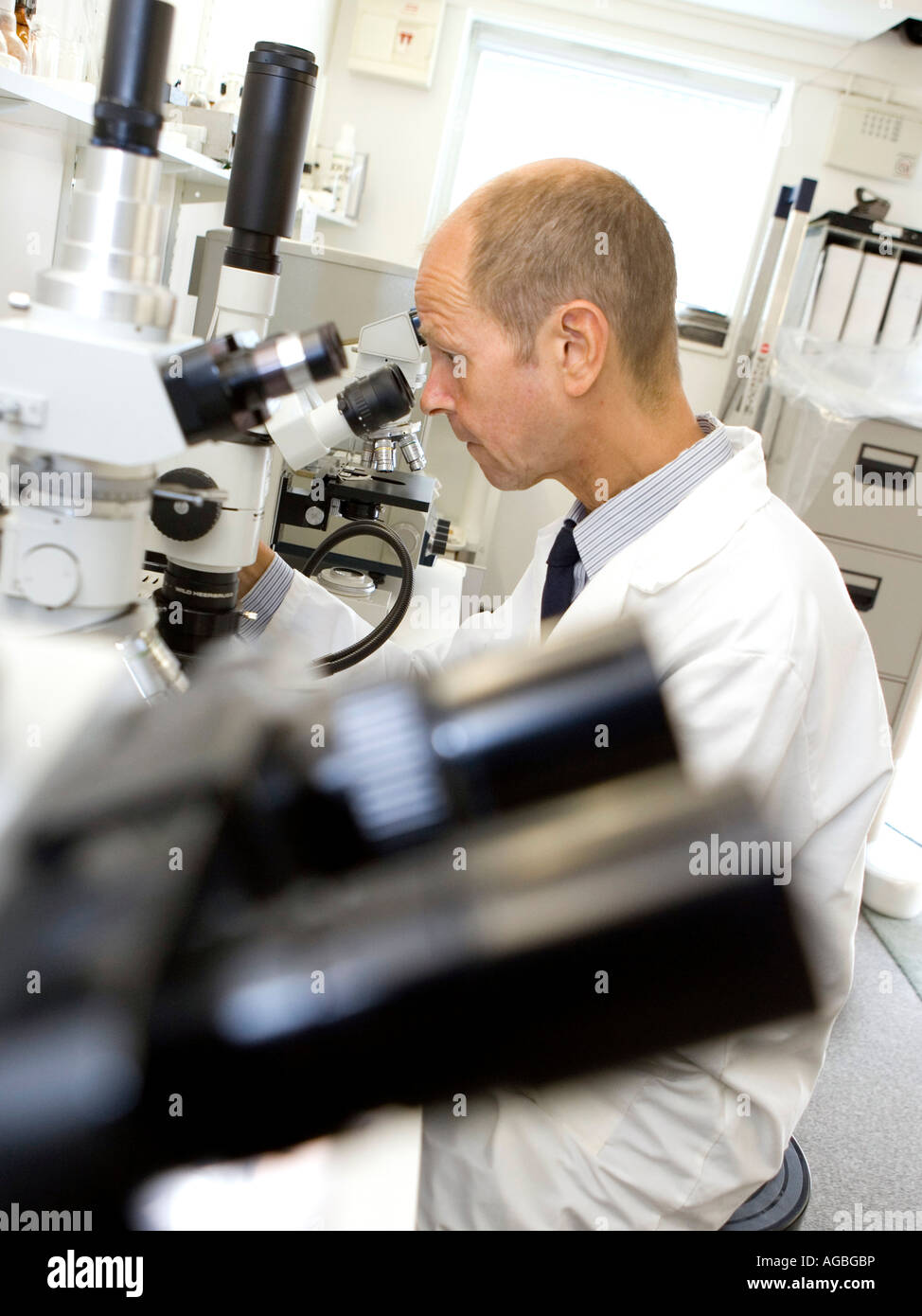 Microbiologist scientist looking through microscope and concentrating ...
