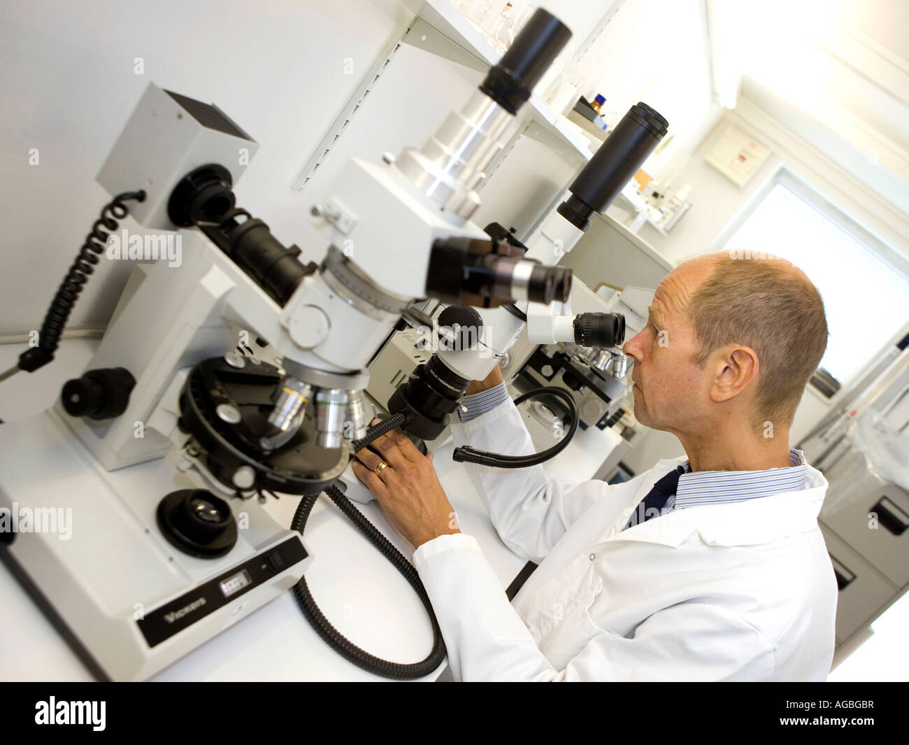 Microbiologist scientist looking through microscope and concentrating ...