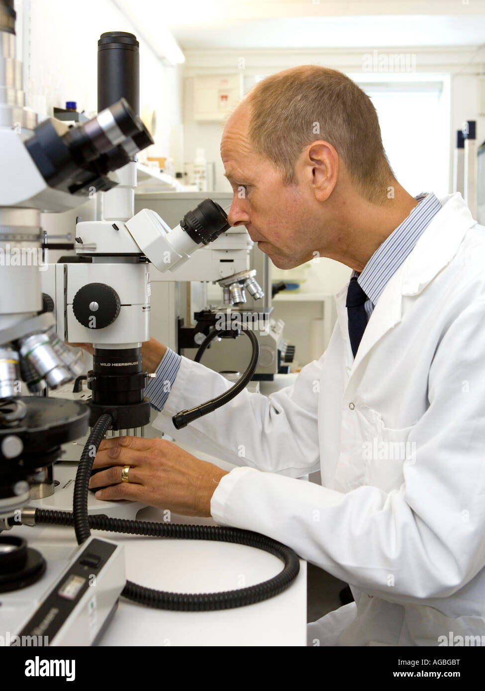Microbiologist scientist looking through microscope and concentrating ...
