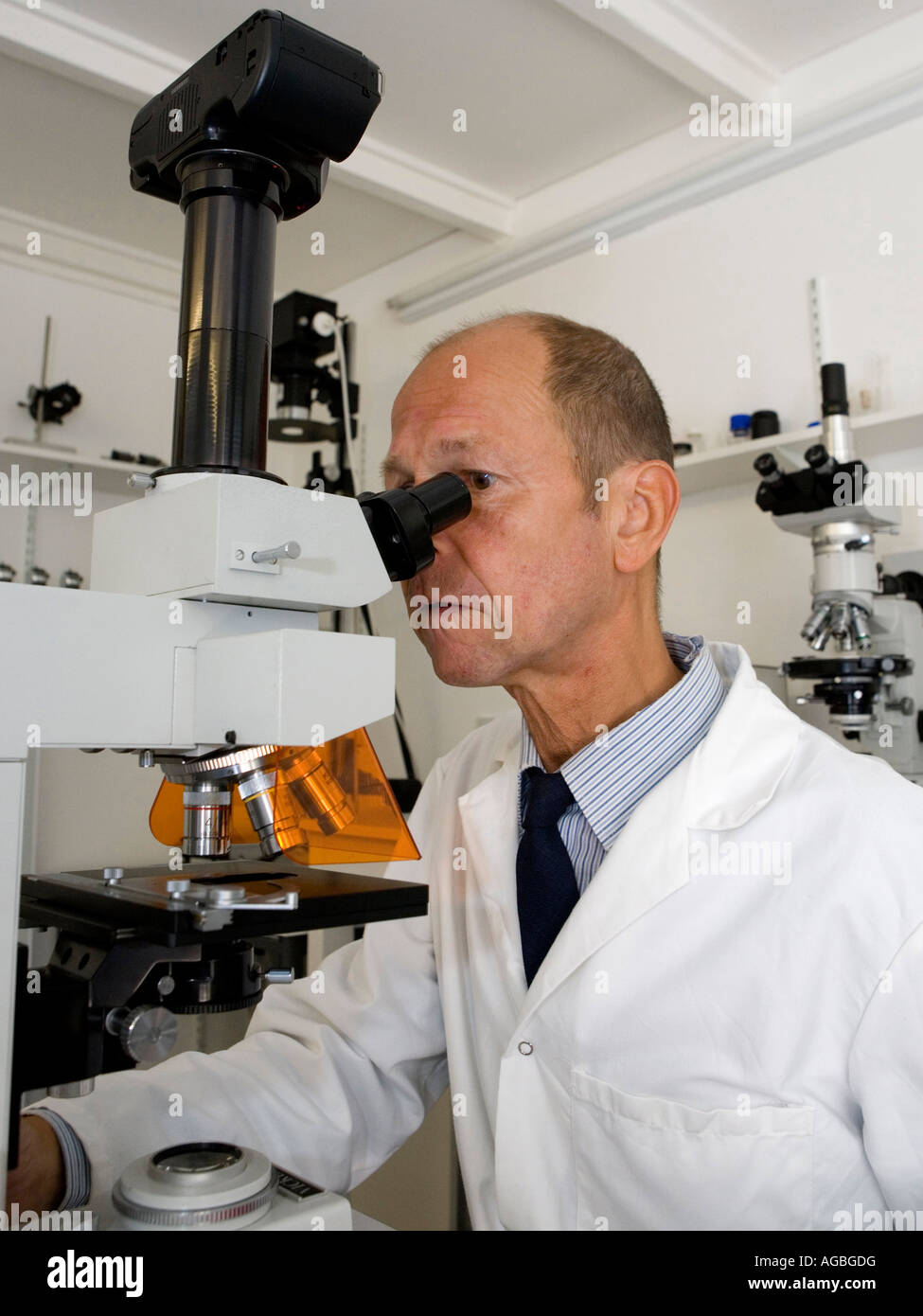 Microbiologist scientist looking through microscope and concentrating ...