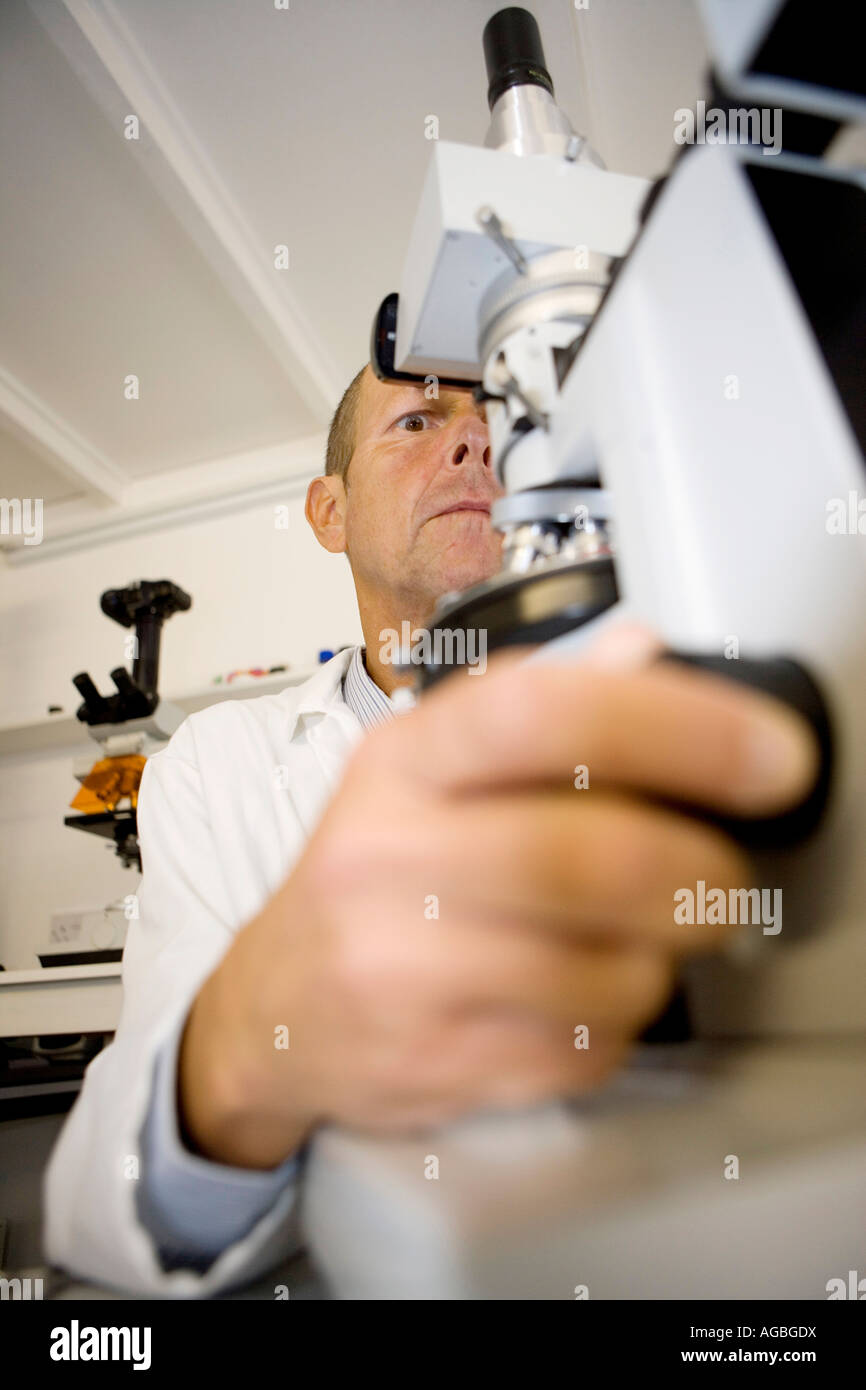Microbiologist scientist looking through microscope and concentrating ...