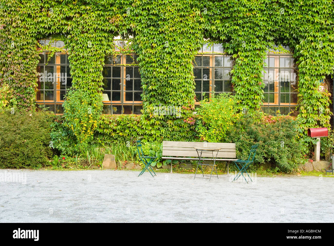 Vine covered front Stock Photo - Alamy