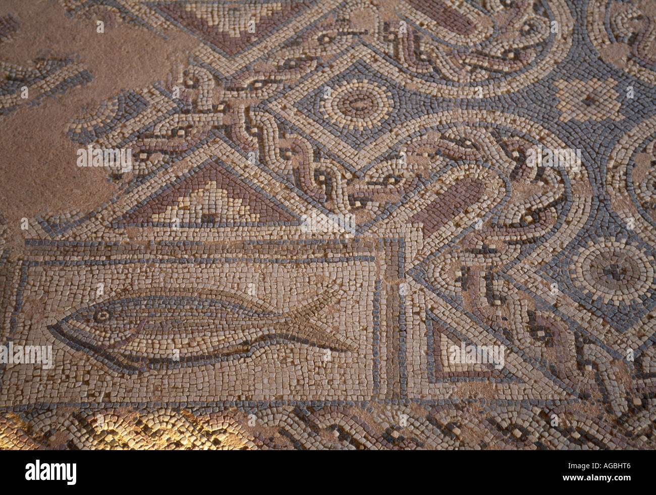 Detail of one of the mosaics of Pafos depicting a fish which were ...