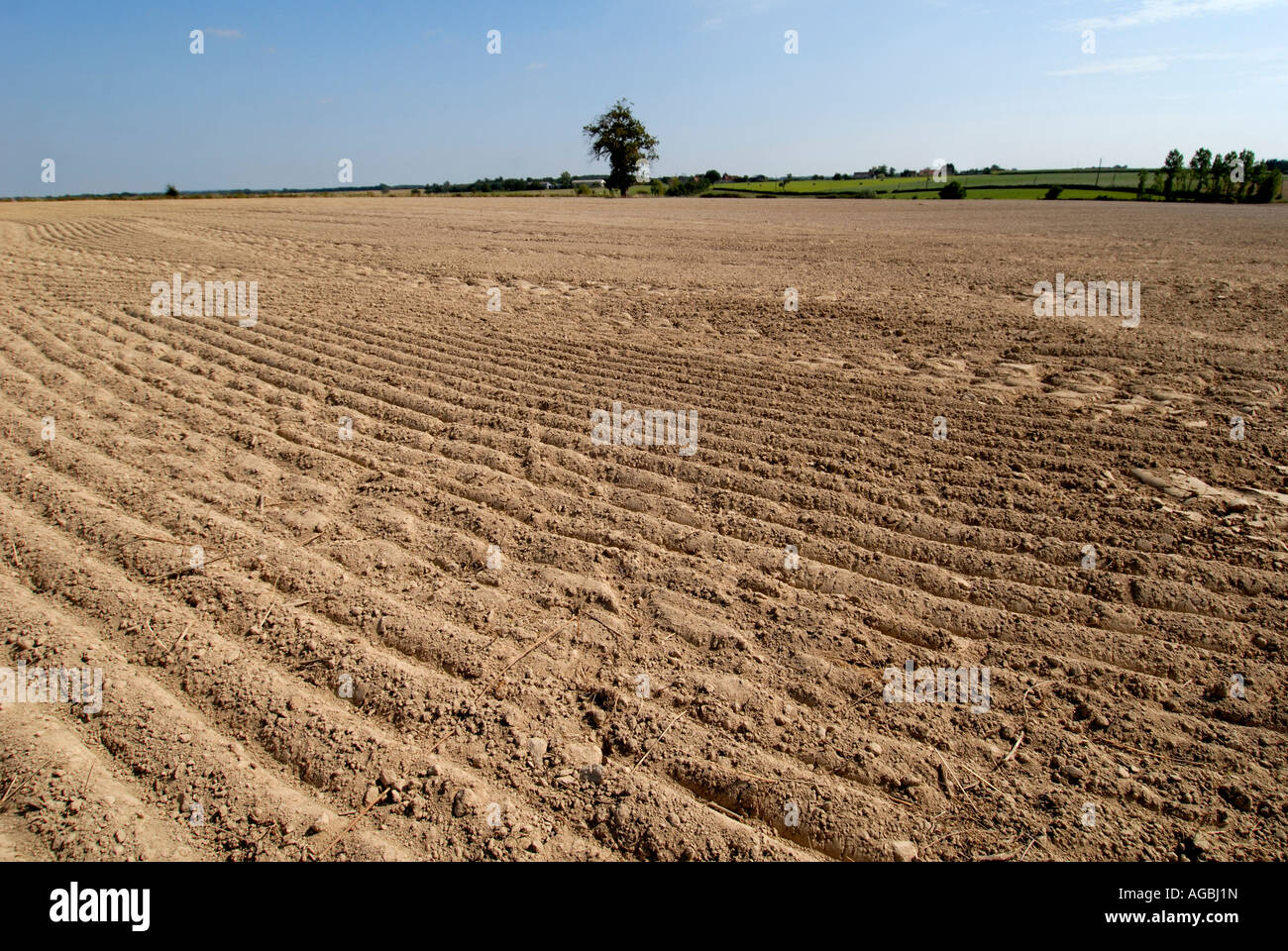 Soil patterns on newly seeded farmland, Indre, France Stock Photo - Alamy