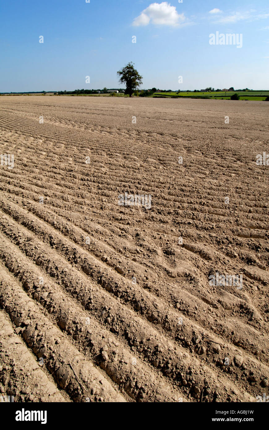 Soil patterns on newly seeded farmland, Indre, France Stock Photo - Alamy