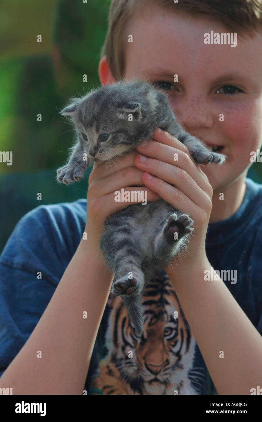 A Boy Holding A Kitten Stock Photo - Alamy