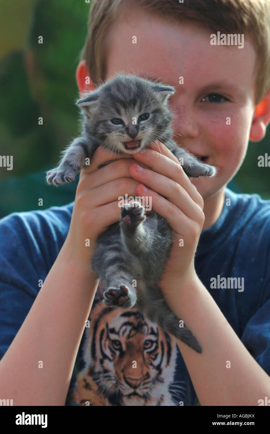 A Boy Holding A Kitten Stock Photo - Alamy