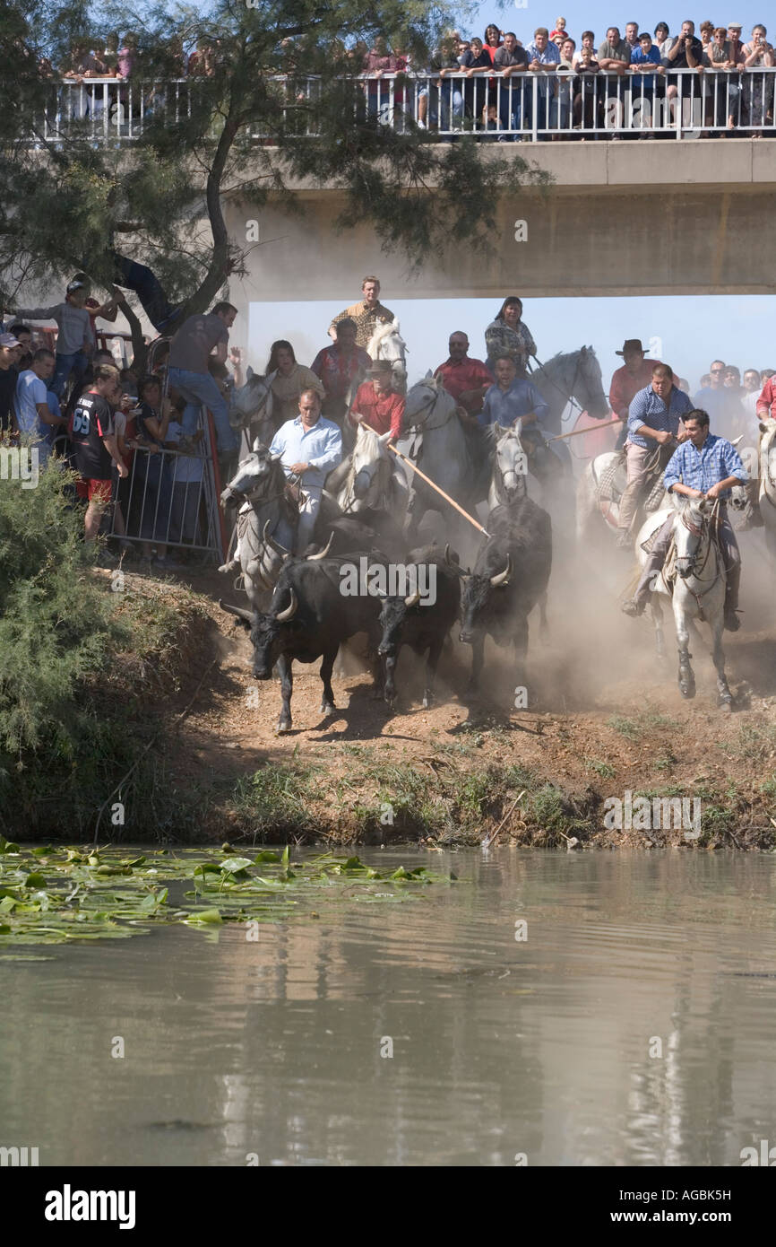 French cowboys hi-res stock photography and images - Alamy