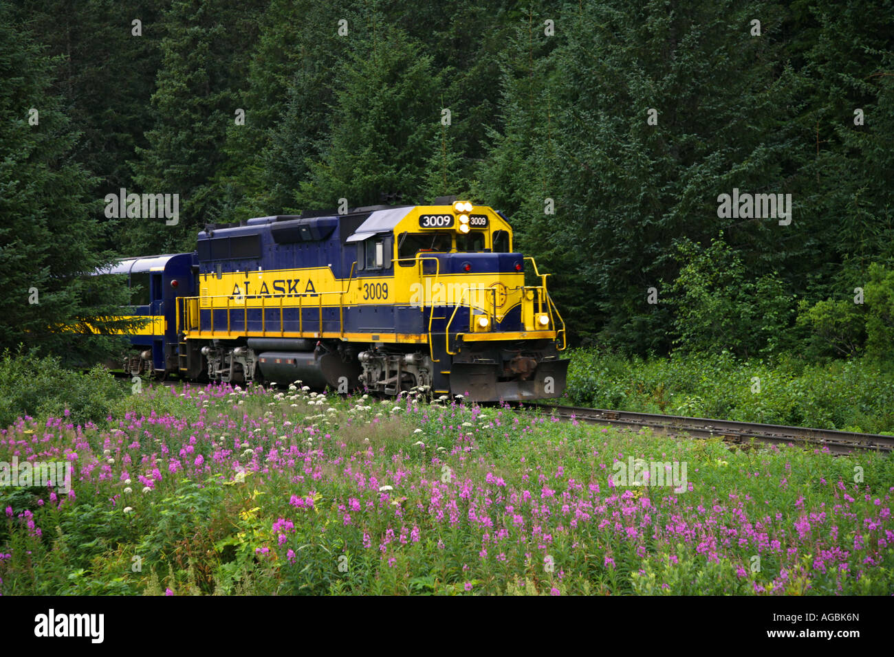 Alaska Railroad engine, Kenai Peninsula, Alaska Stock Photo - Alamy