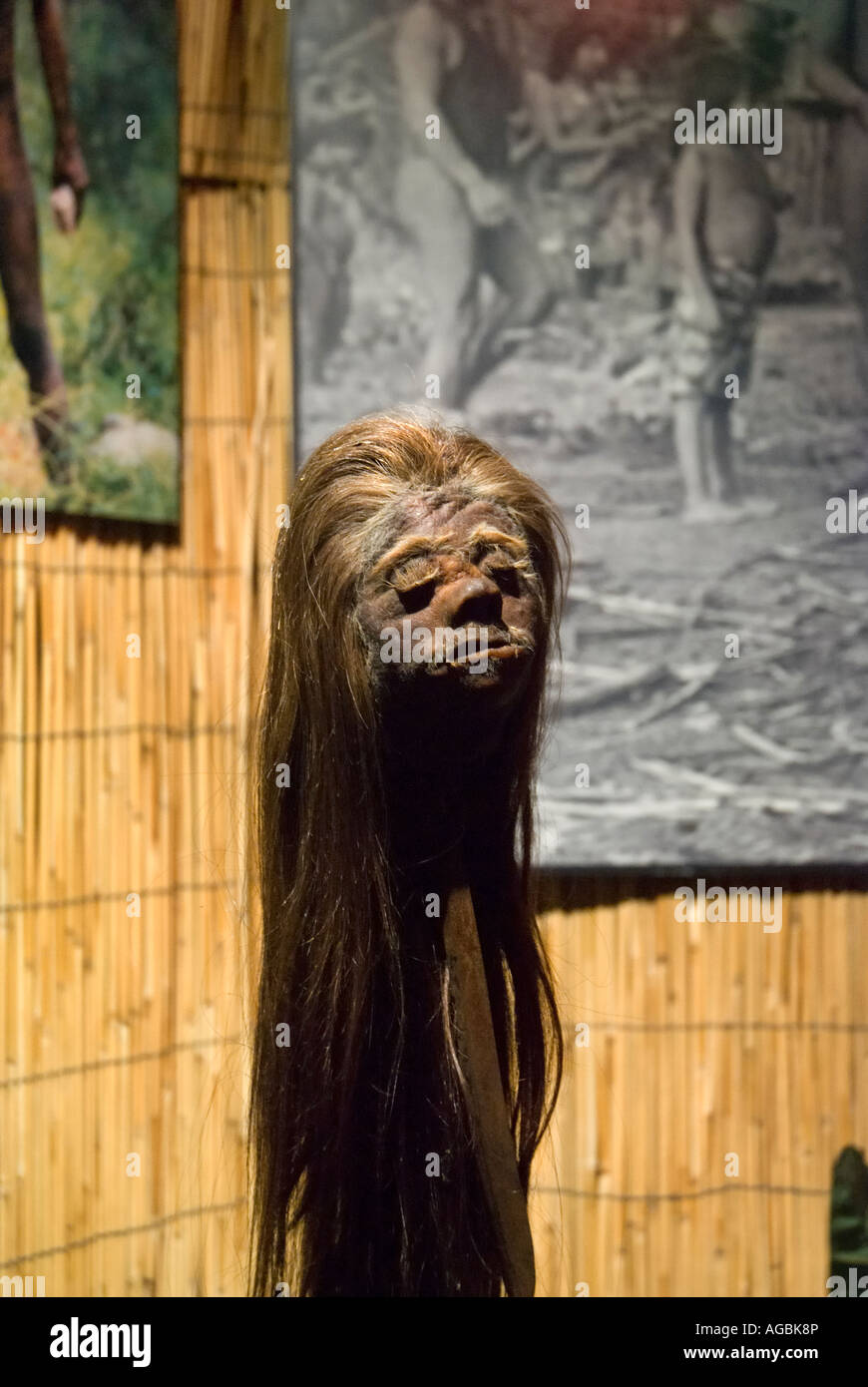 Shrunken head hi-res stock photography and images - Alamy