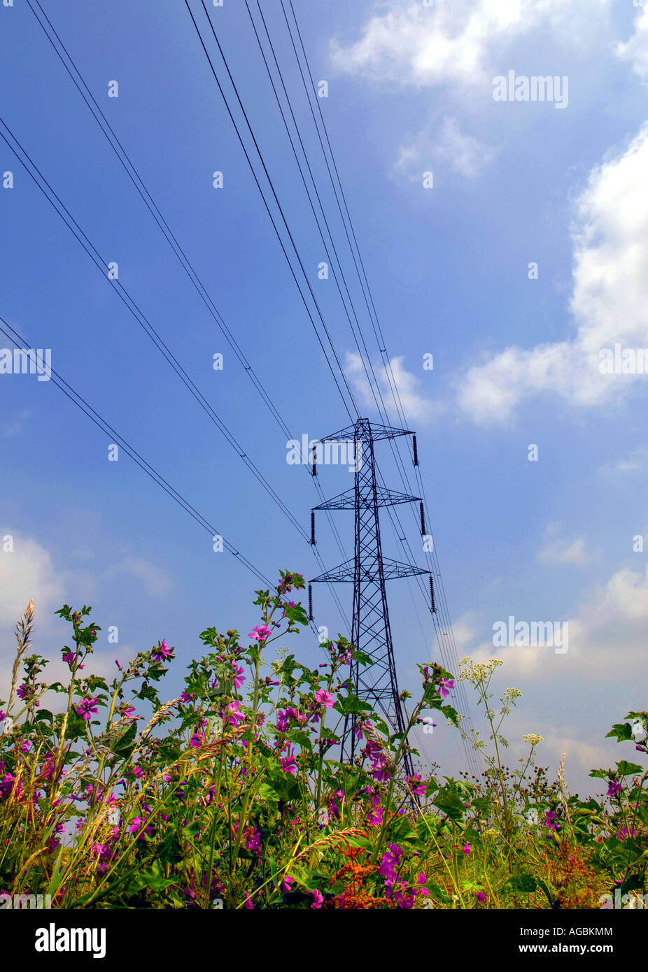 Power line radiation hi-res stock photography and images - Alamy