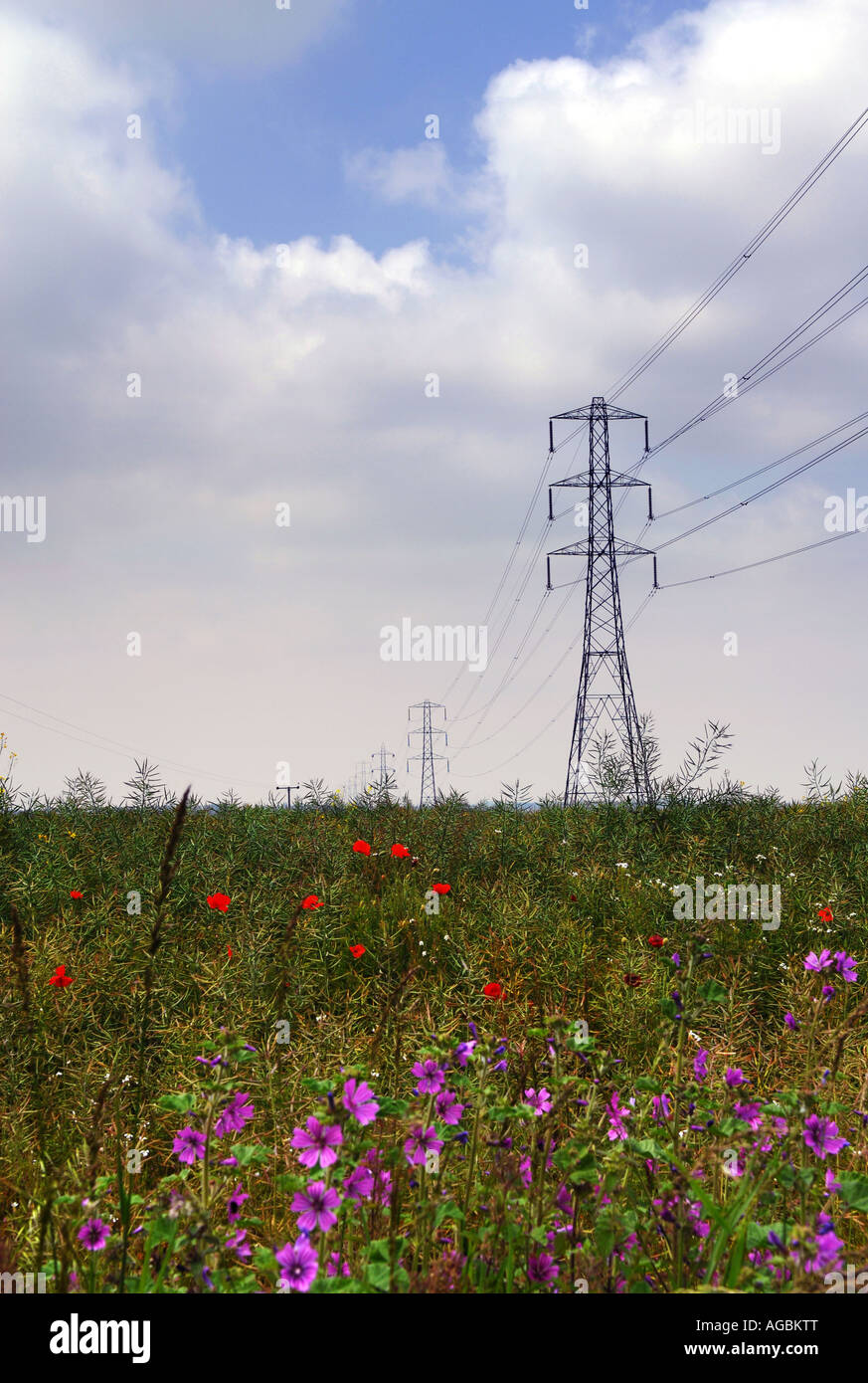 Power line radiation hi-res stock photography and images - Alamy