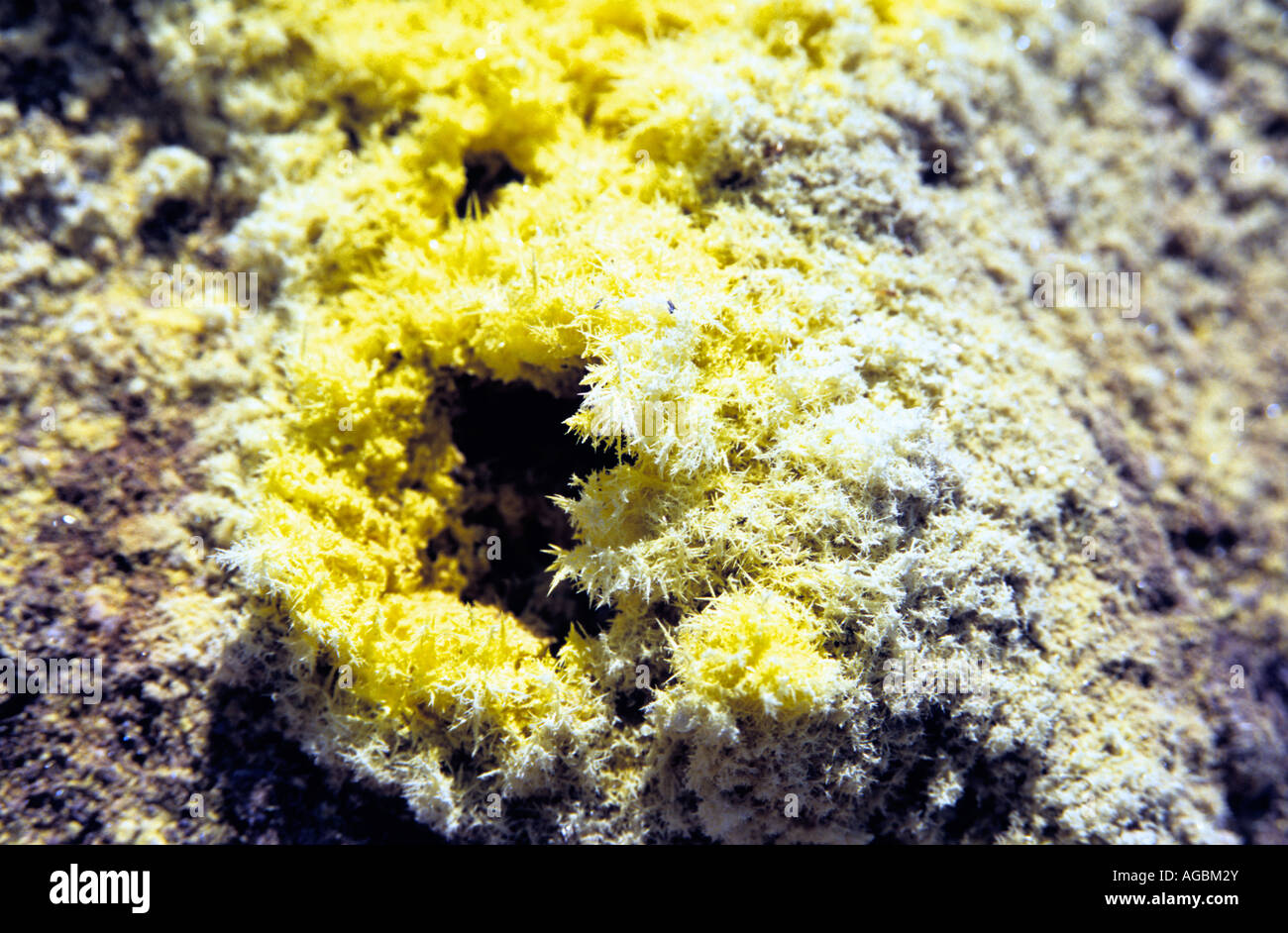 sulpherous fumerole, volcano on Nisyros in the Aegean sea greece Stock ...