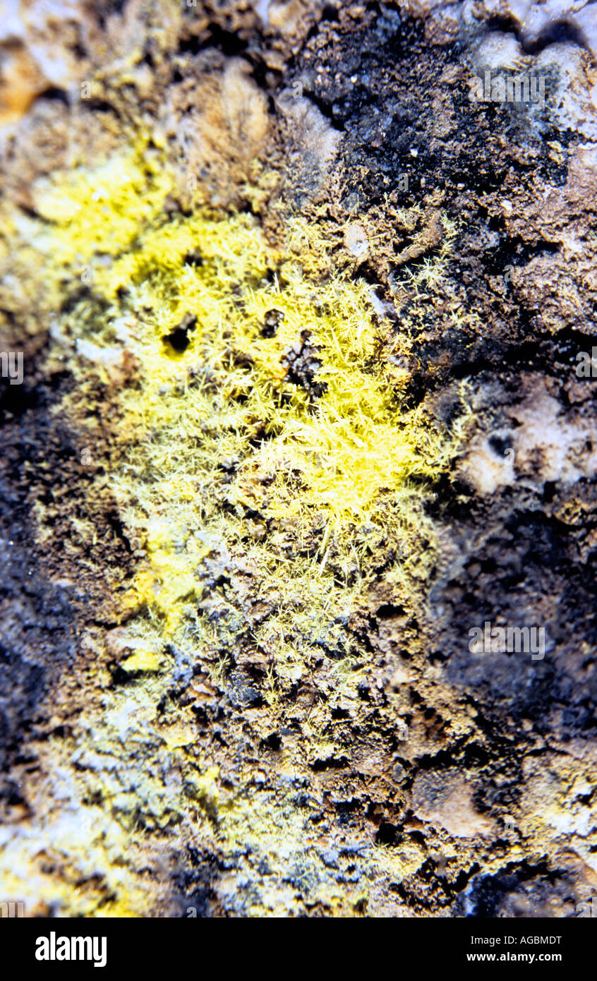 fumerole, volcano on Nisyros in the Aegean sea greece Stock Photo - Alamy
