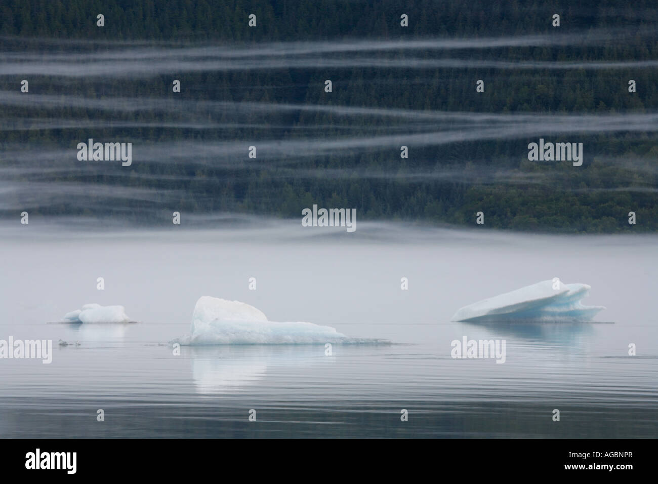 Fog and icebergs on Mendenhall Lake near Juneau Alaska Stock Photo - Alamy