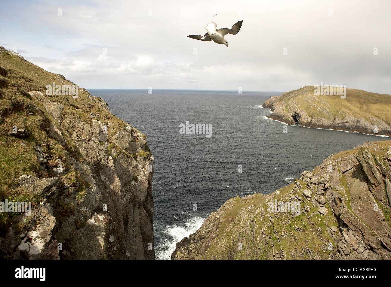 Shetland north roe hi-res stock photography and images - Alamy