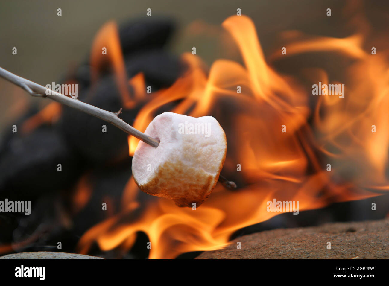 marshmallow on a stick being roasted over a camping fire Stock Photo ...