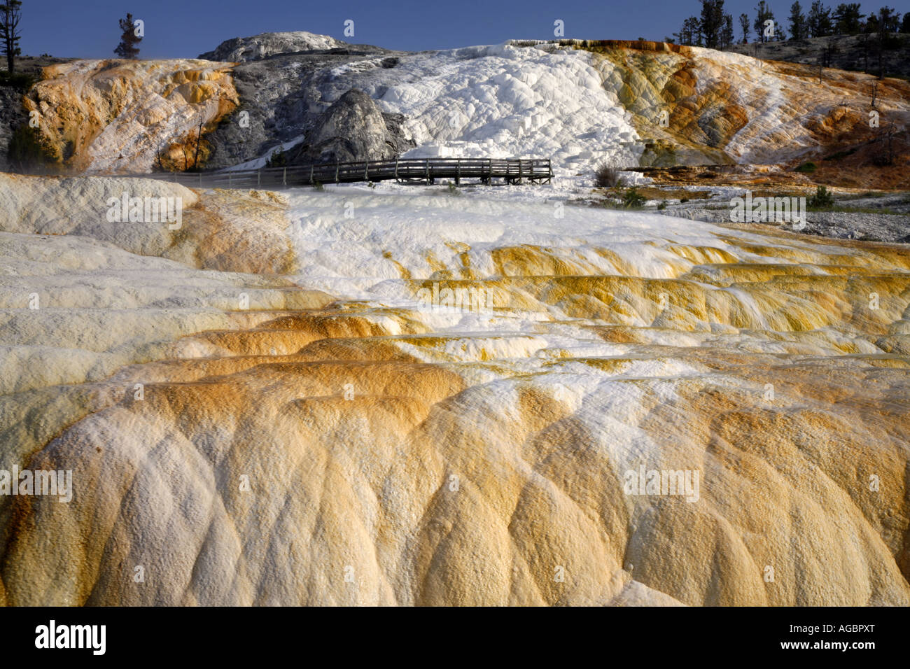 The Lower Terraces Area of the Mammoth Hot springs Yellowstone National ...