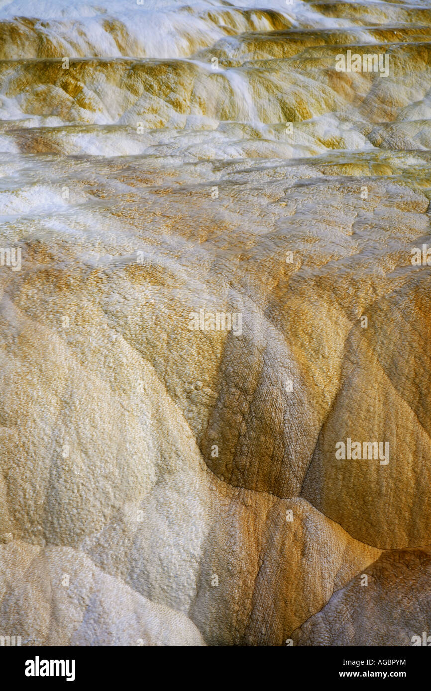 The Lower Terraces Area of the Mammoth Hot Springs Yellowstone National ...