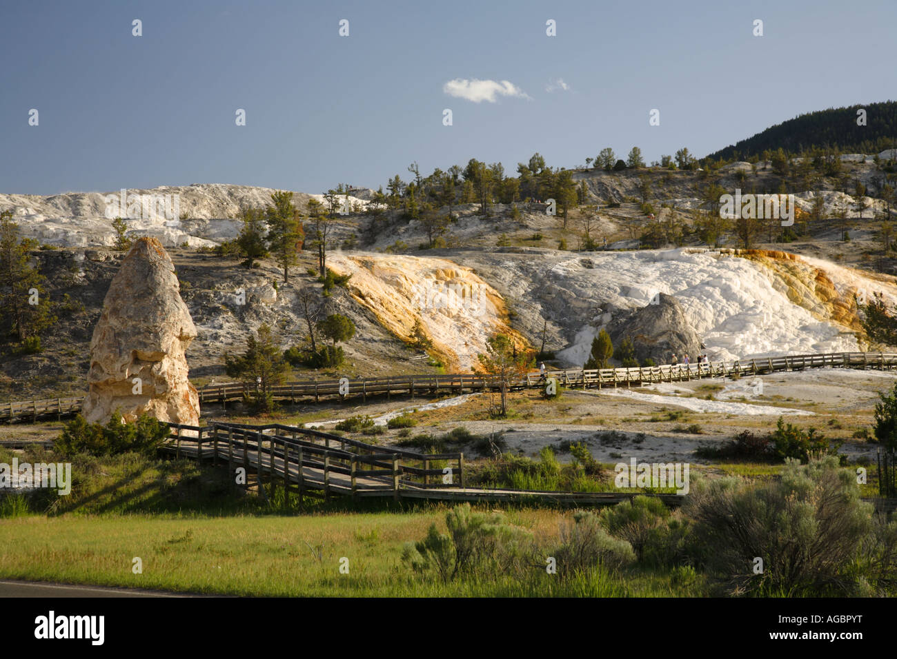 The Lower Terraces Area of the Mammoth Hotsprings Yellowstone National ...