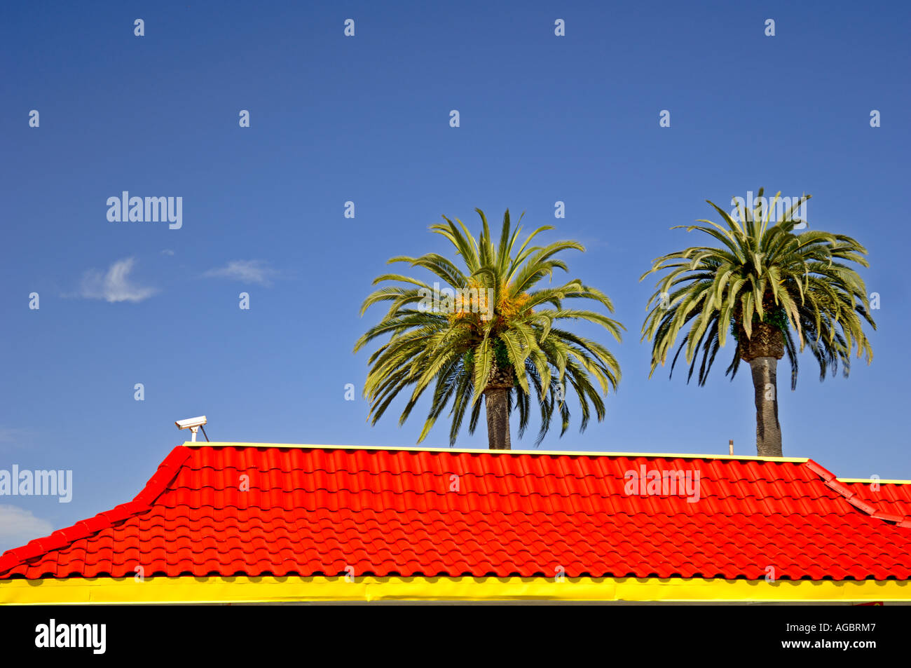 Fast food drive thru roof with palm trees, San Diego, California ...