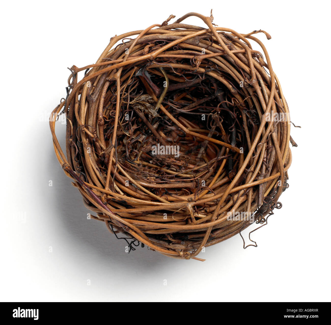 Empty birds nest Stock Photo - Alamy