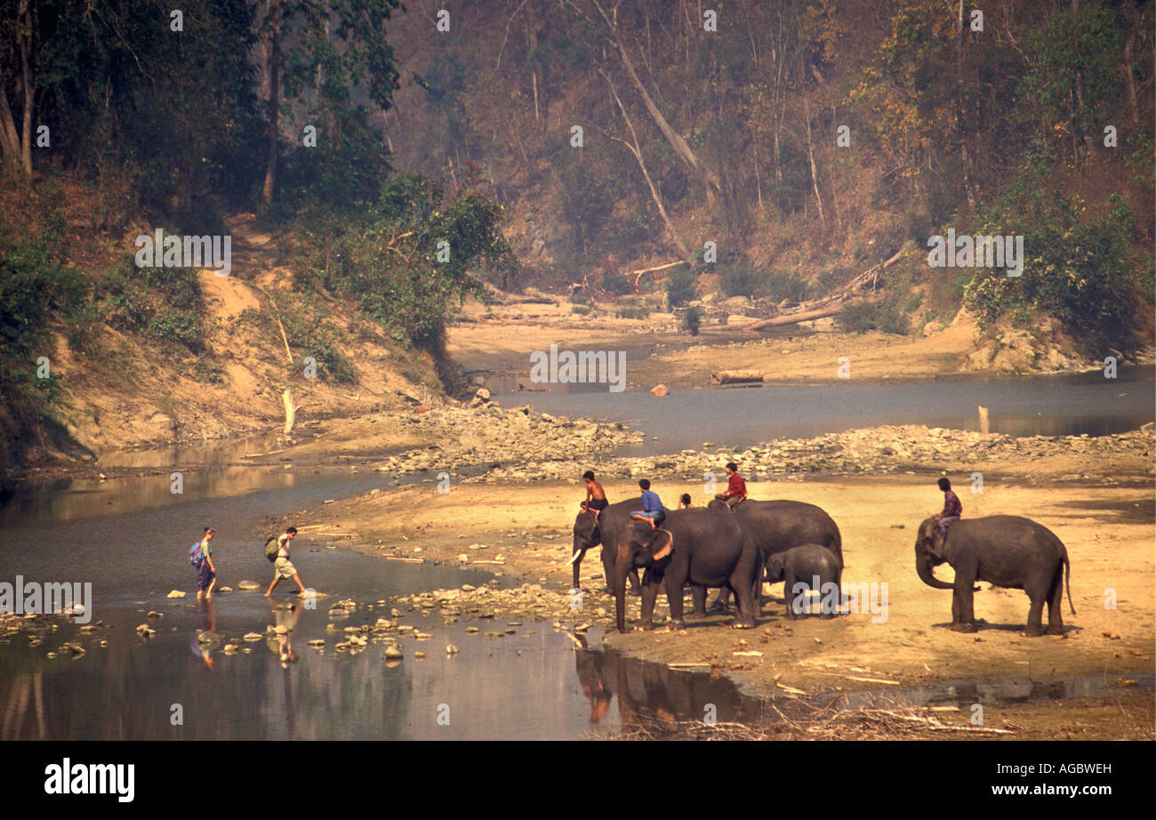 Pegu range hi-res stock photography and images - Alamy
