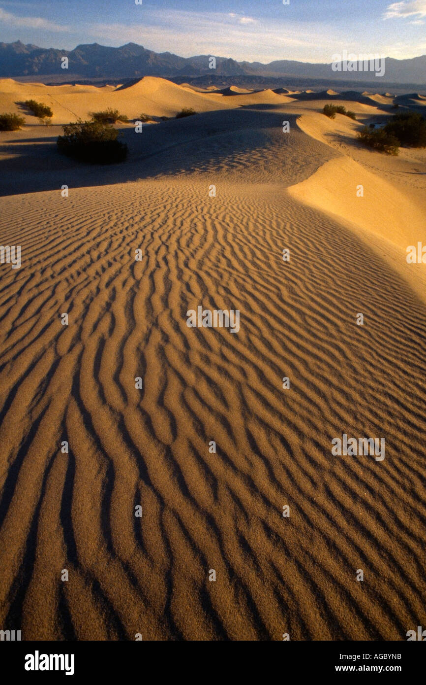 Wind blown sand dunes Stovepipe Wells Death Valley National Park ...