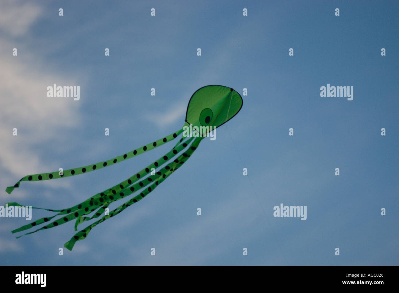 Green Kite in shape of octopus Stock Photo - Alamy