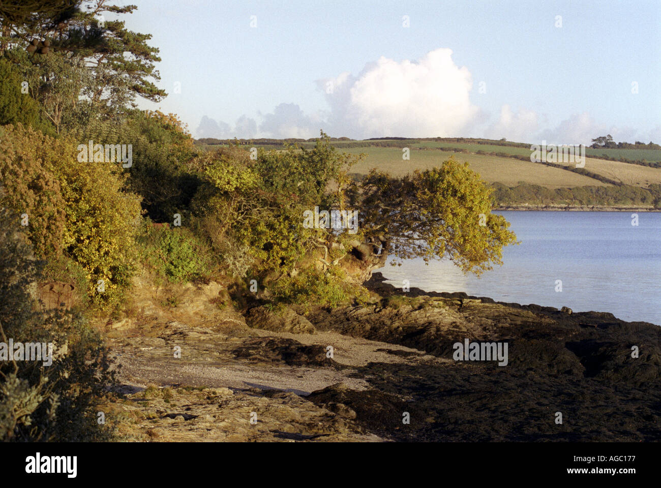 Scene by the water in Cornwall Stock Photo - Alamy