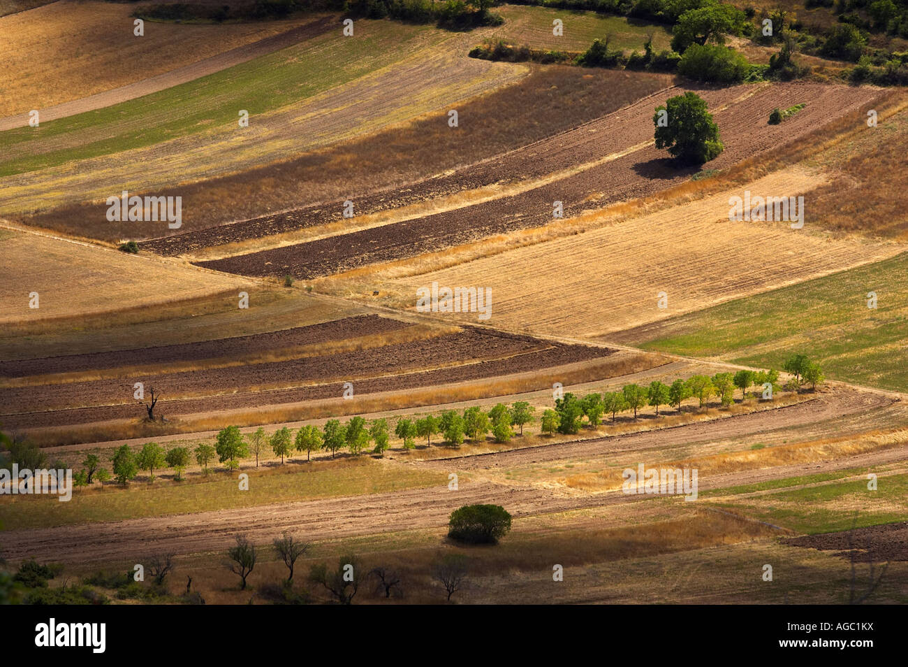 Agriculture or farming, italy hi-res stock photography and images - Alamy