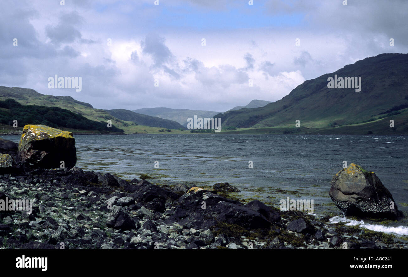 View along Loch Spelve Isle of Mull Stock Photo - Alamy