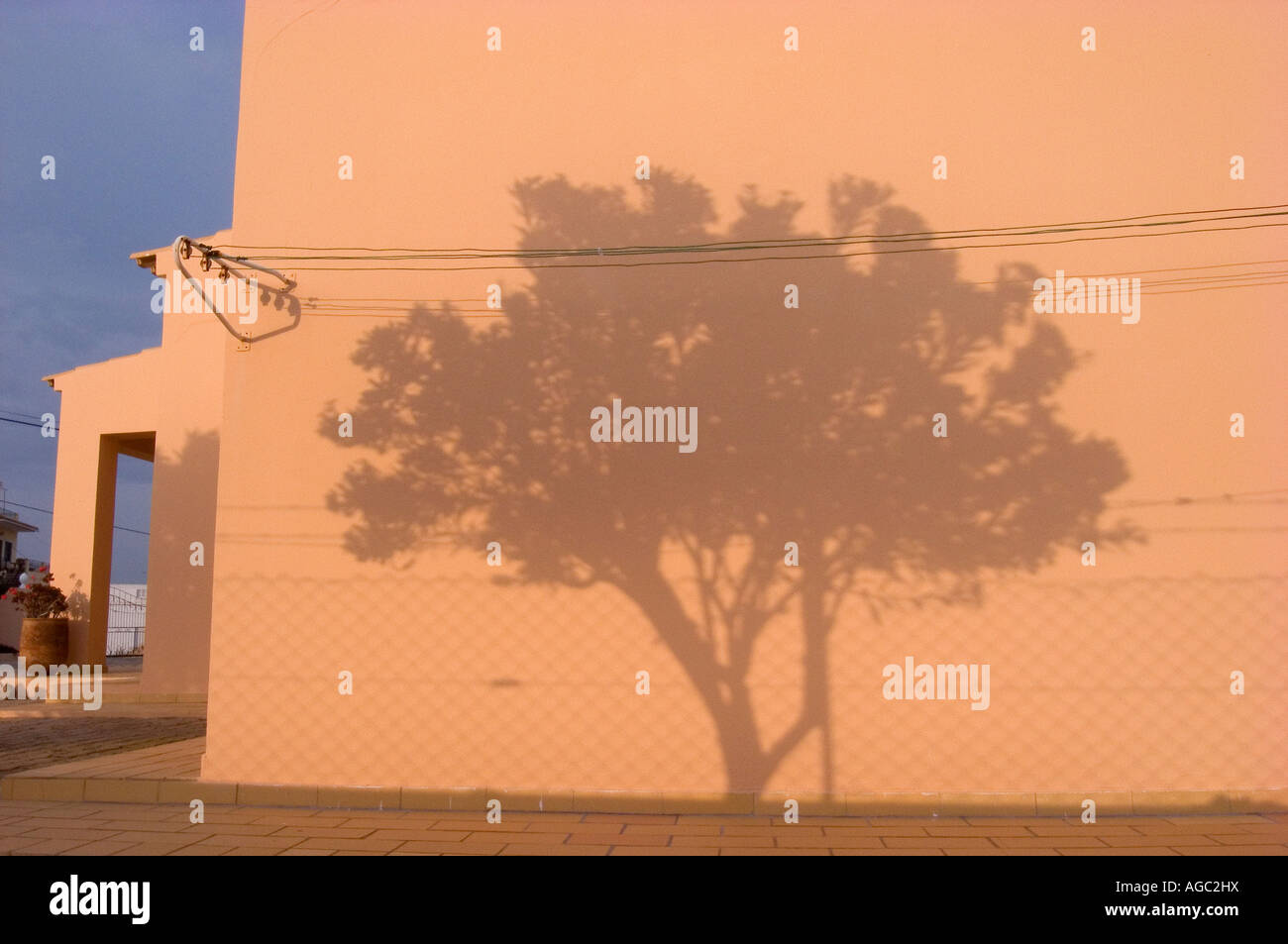 Tree shadow hi-res stock photography and images - Alamy