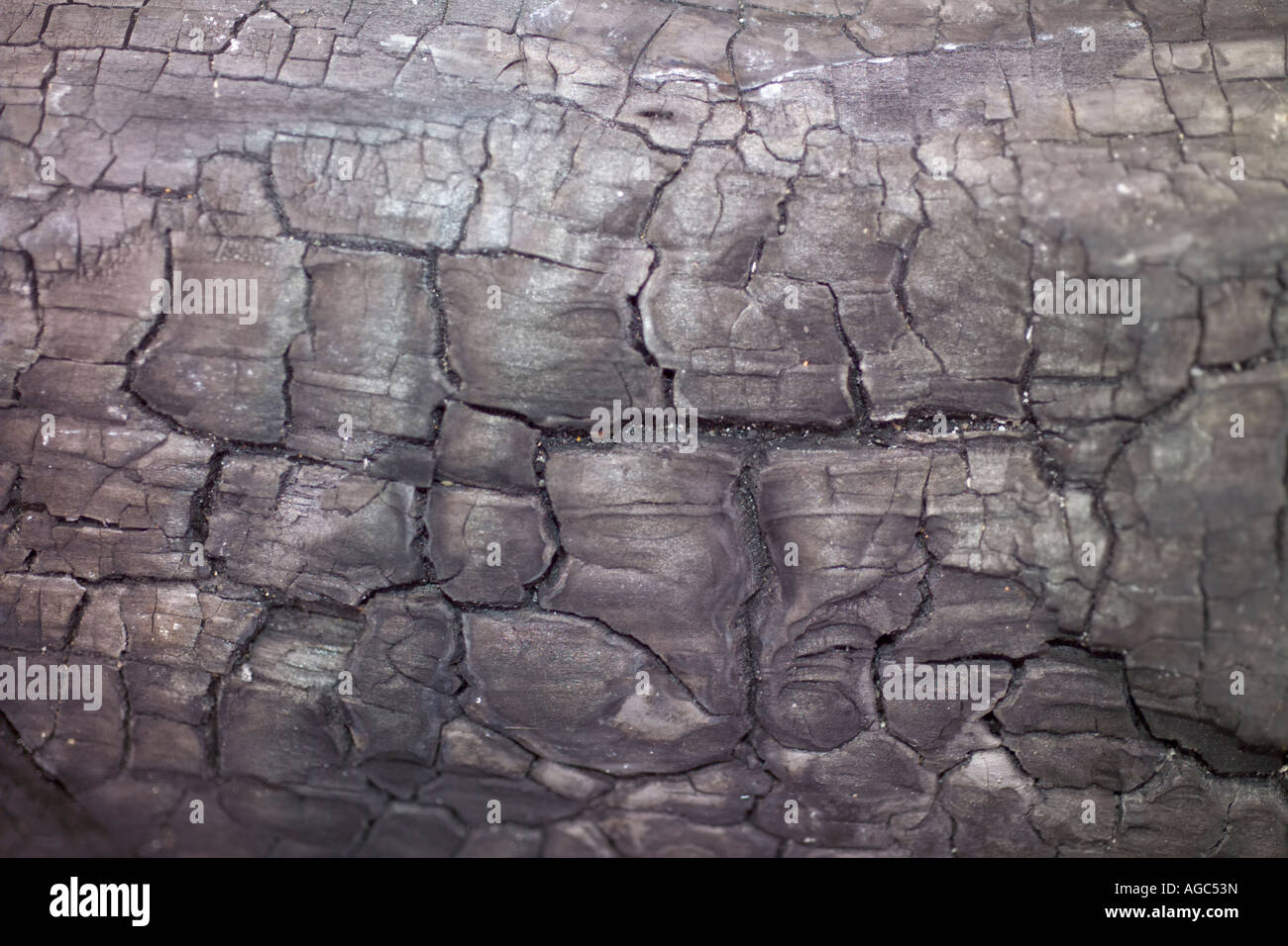 Burnt cinders hi-res stock photography and images - Alamy