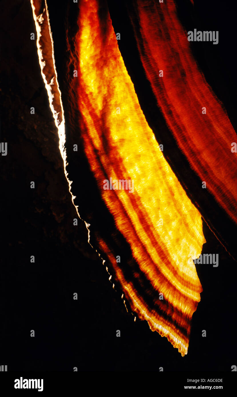 Curtain Orient Cave Jenolan "New South Wales" Australia Stock Photo - Alamy