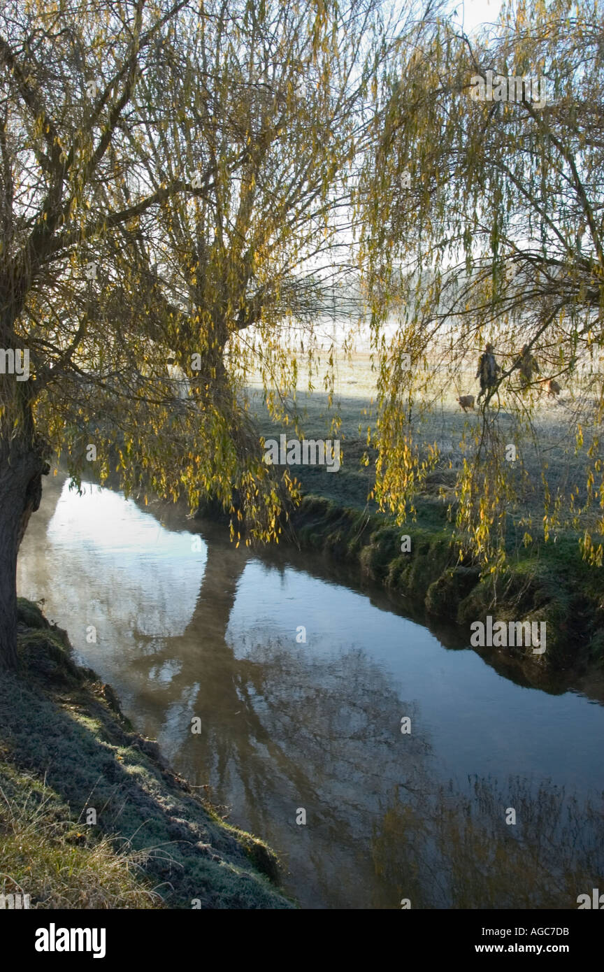 Flora around a stream hi-res stock photography and images - Alamy