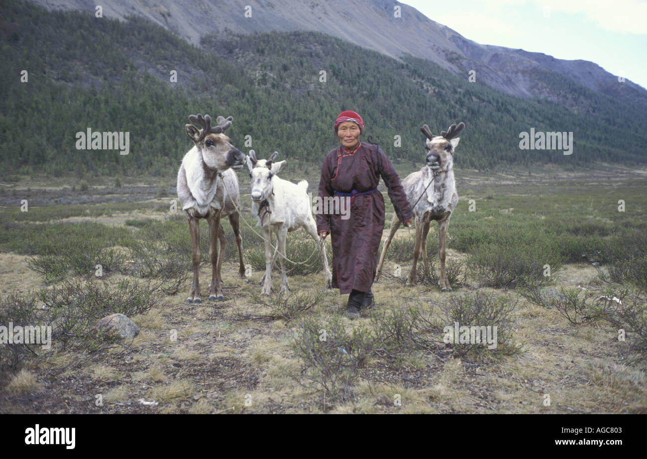 Tuvinian reindeer herders hi-res stock photography and images - Alamy