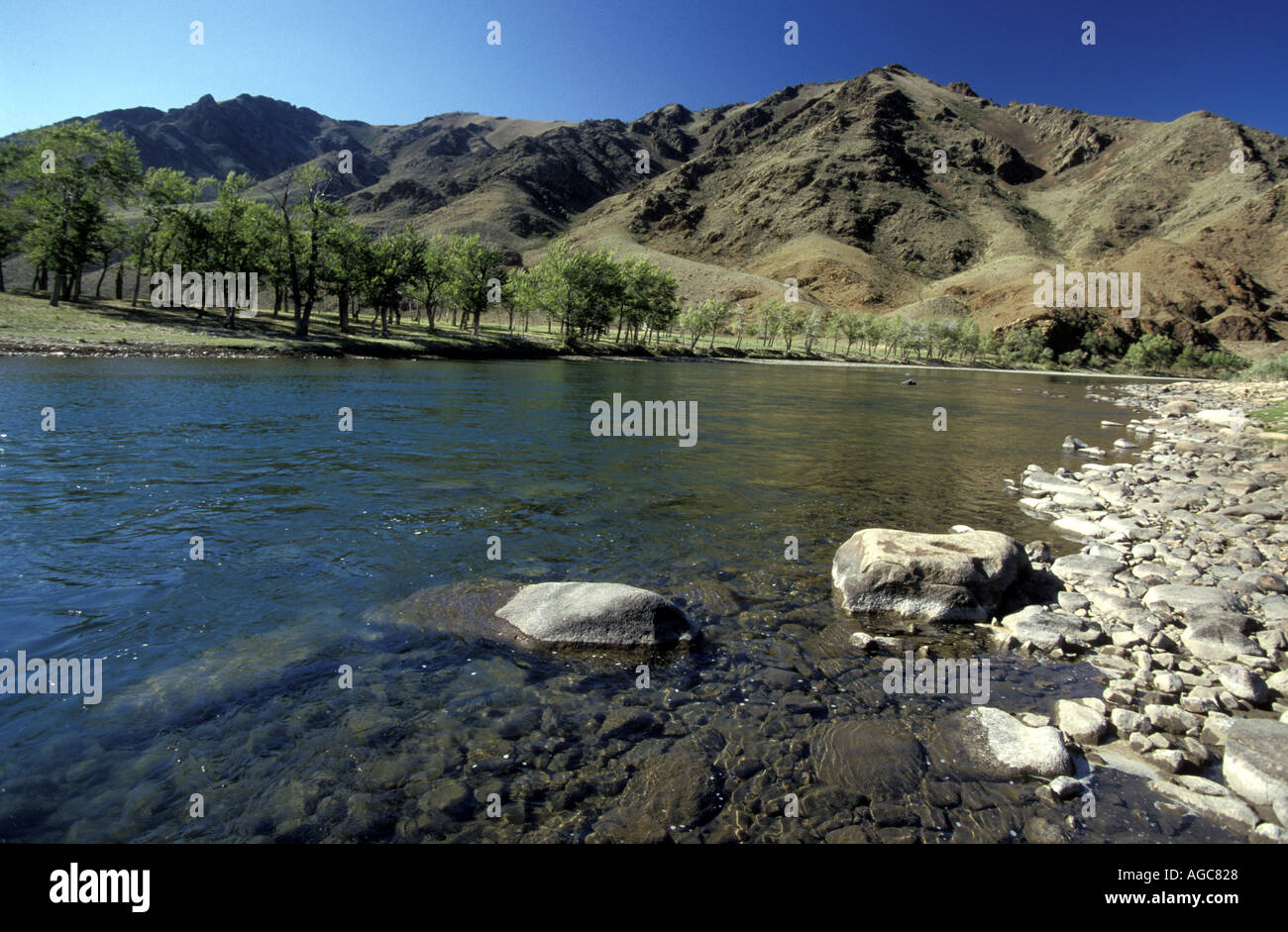 Pure water from the Altai mountains Outer Mongolia Stock Photo - Alamy