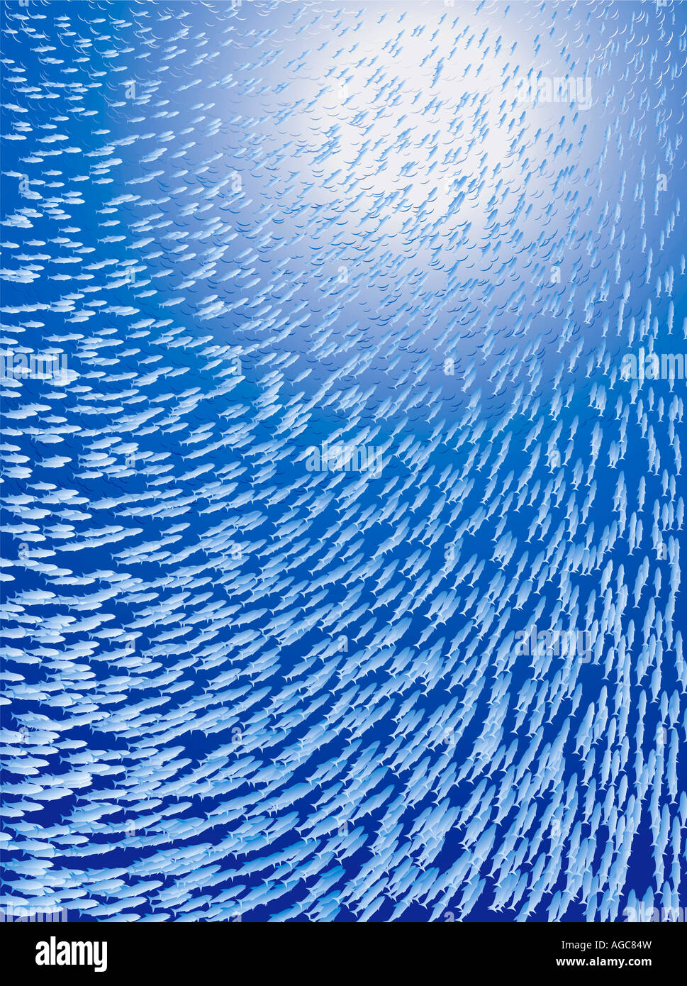 fish school under water Stock Photo - Alamy