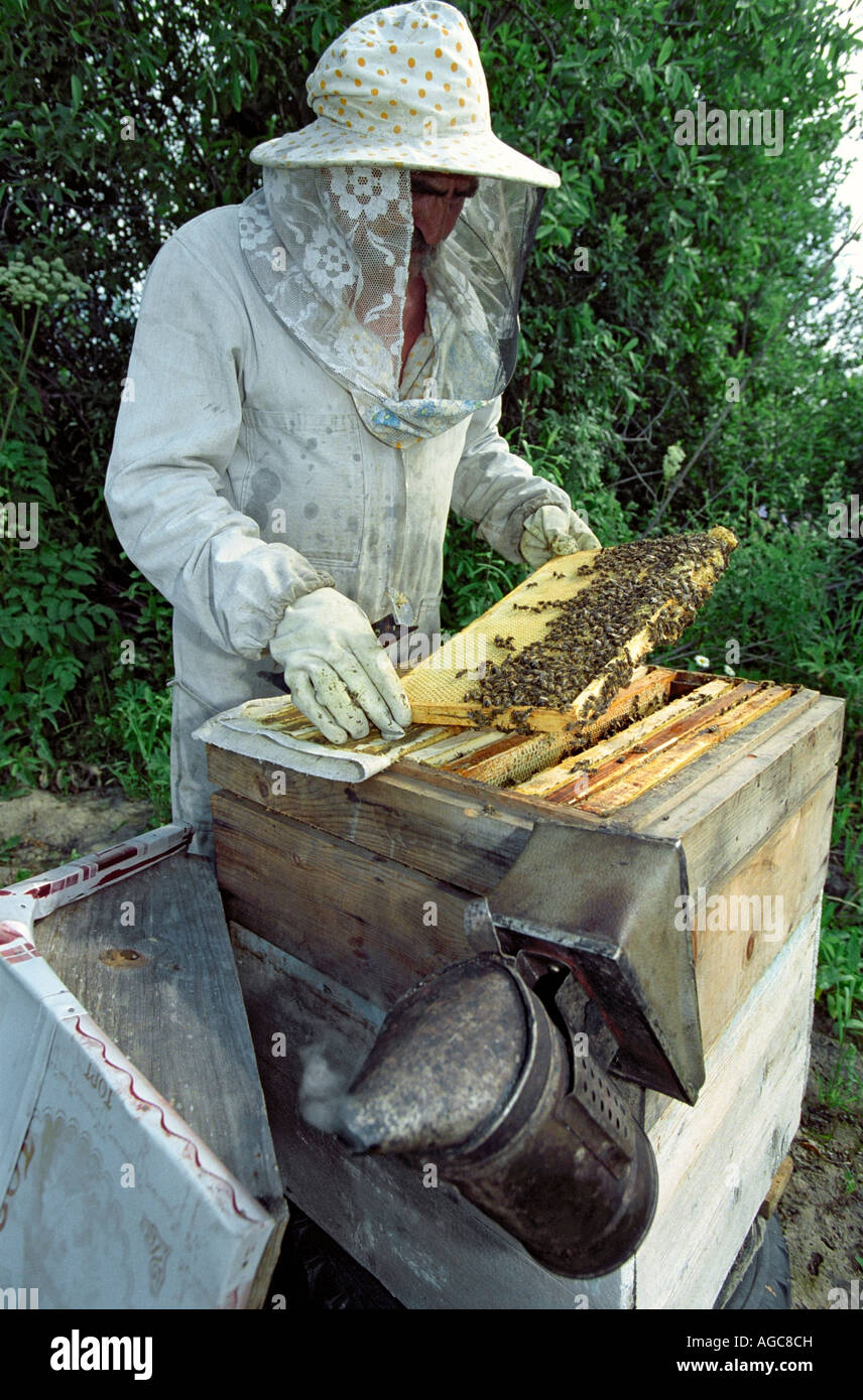 Beekeeper Hat Topshop