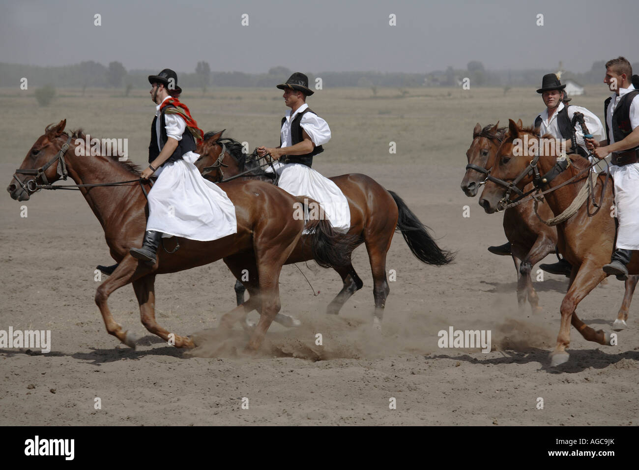 Hungary puszta bugac hi-res stock photography and images - Alamy