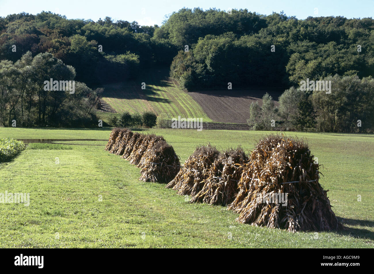 A rural scene in Northern Croatia with green fields trees and haystacks ...