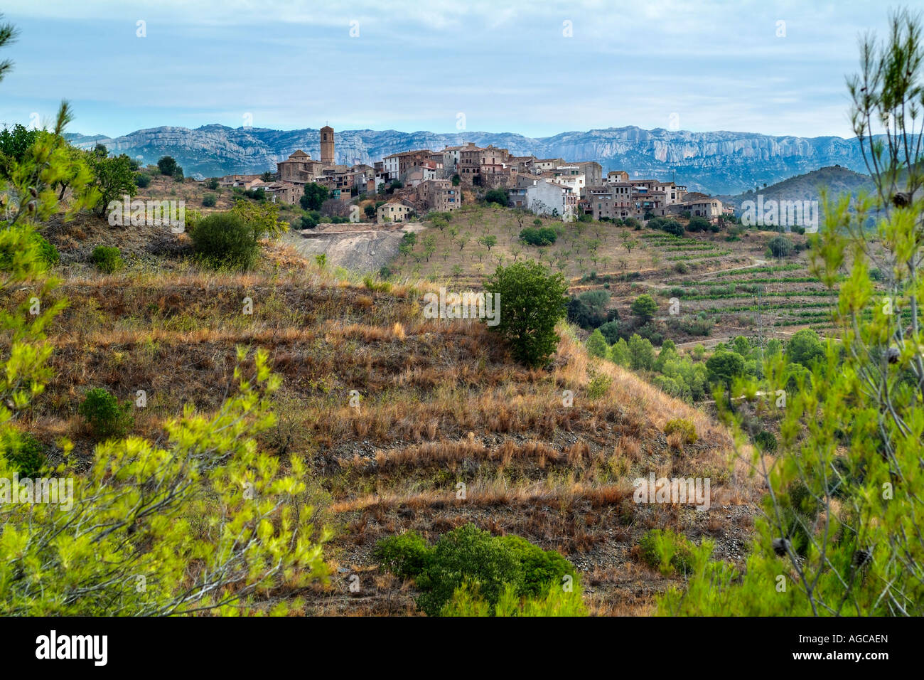 General landscape of El Lloar one of the nine little towns of DOQ ...